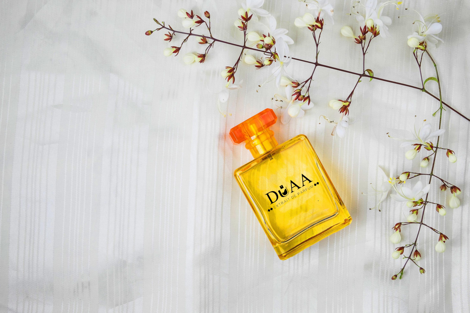 Ballina v2 - DUAA Perfumes